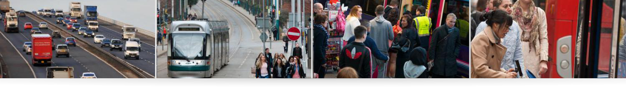 Forsta Visualizations